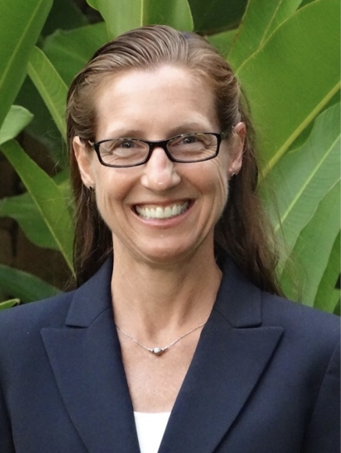 Counseling for Mental Health and Wellness Adjunct Faculty | NYU Steinhardt